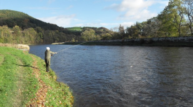 Lower Pavilion beat – River Tweed – Fishprep