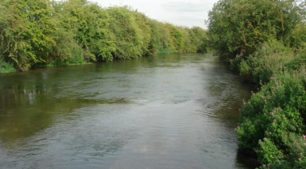 Benham Estate – River Kennet – Fishprep