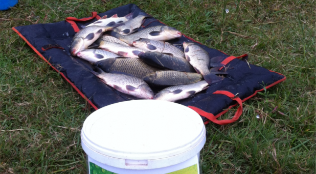 Bronkhorstspruit Dam – Fishprep