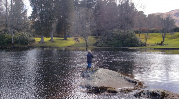 River Gaur – Fishprep