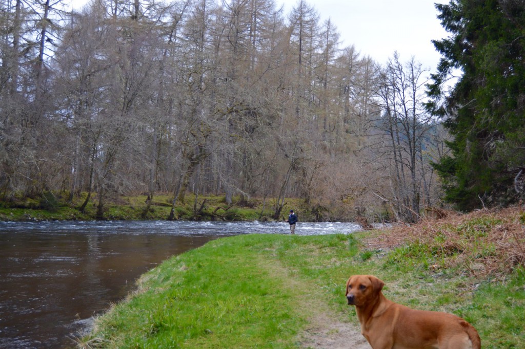 River Oich – Fishprep