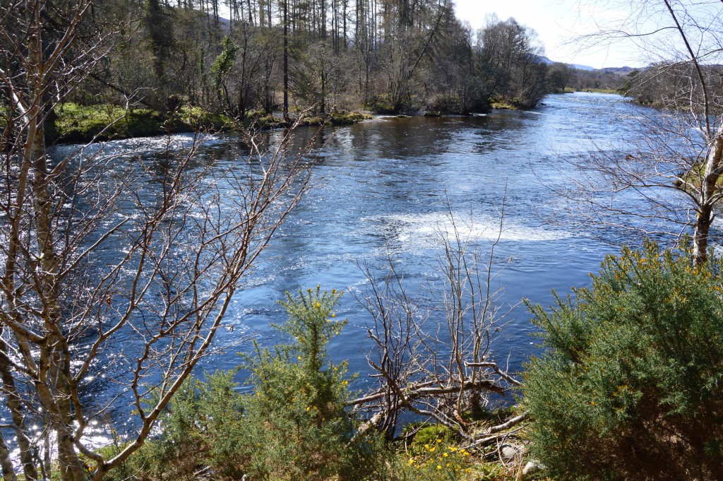 River Oich – Fishprep