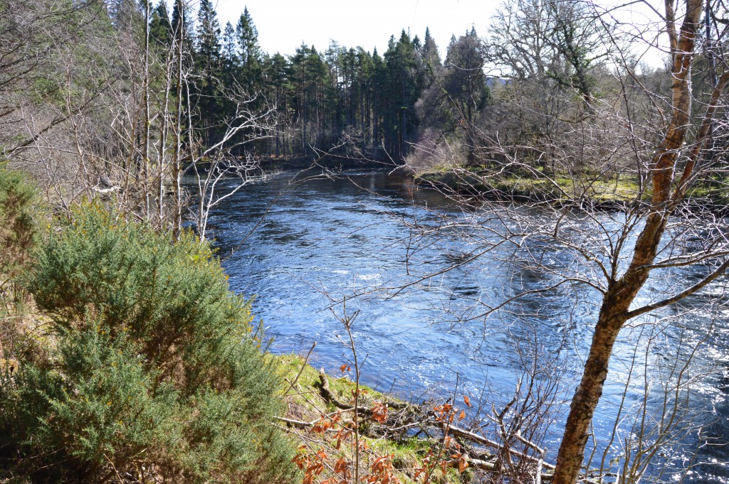 River Oich – Fishprep