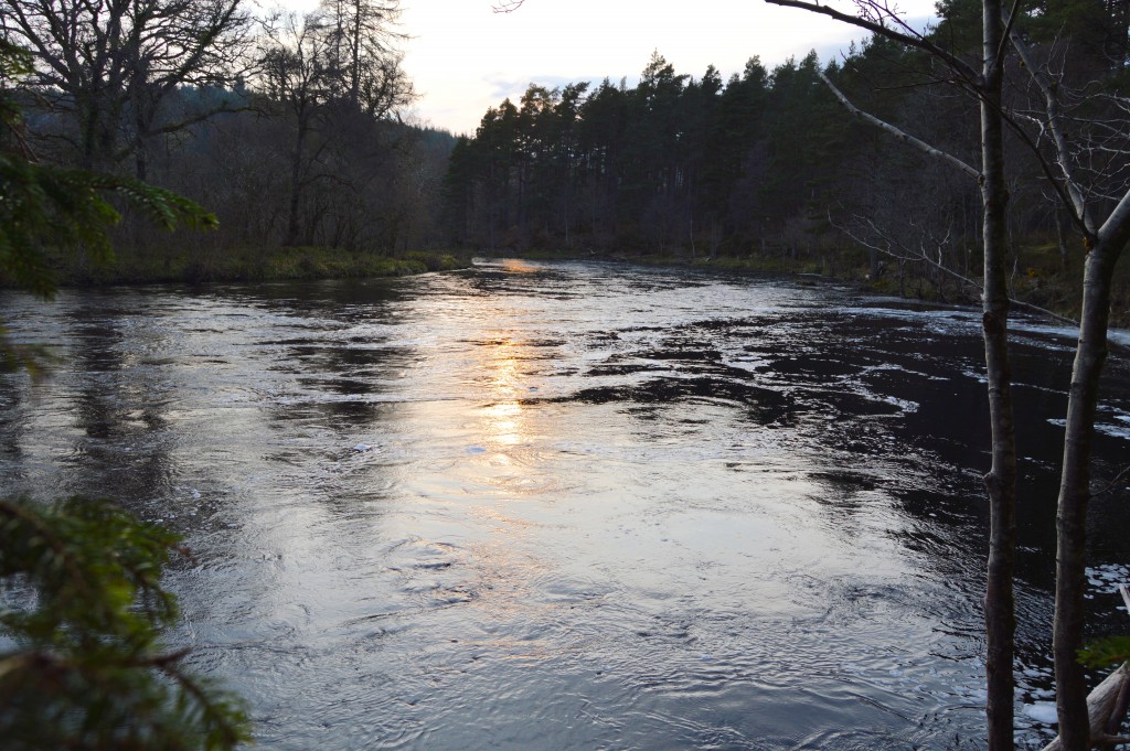 River Oich – Fishprep