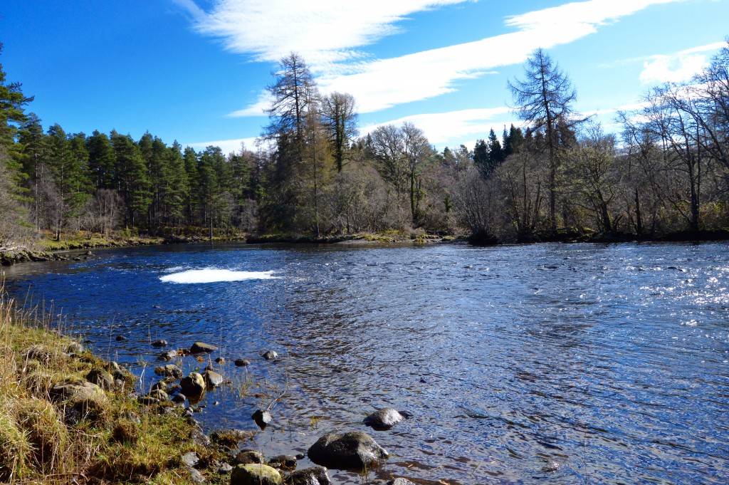 River Oich – Fishprep