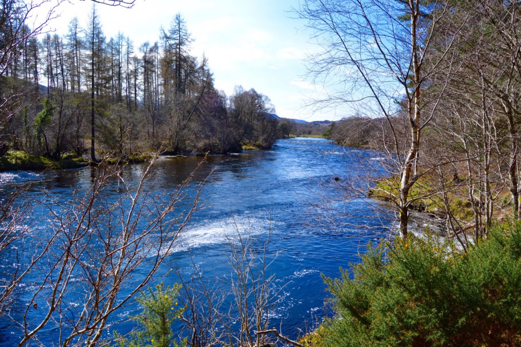 River Oich – Fishprep