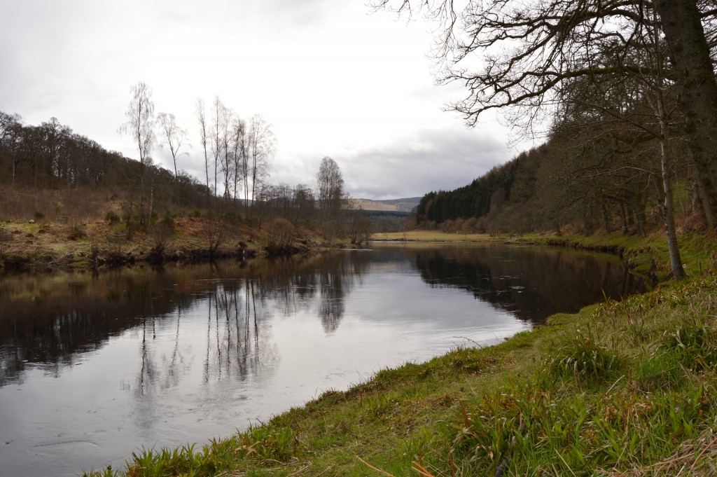 Edradynate – Upper River Tay – Fishprep