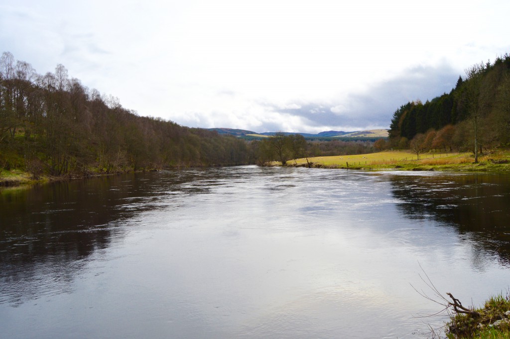 Edradynate – Upper River Tay – Fishprep