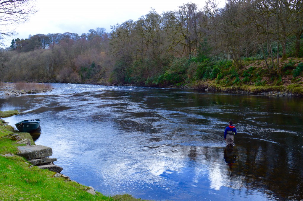 Edradynate – Upper River Tay – Fishprep