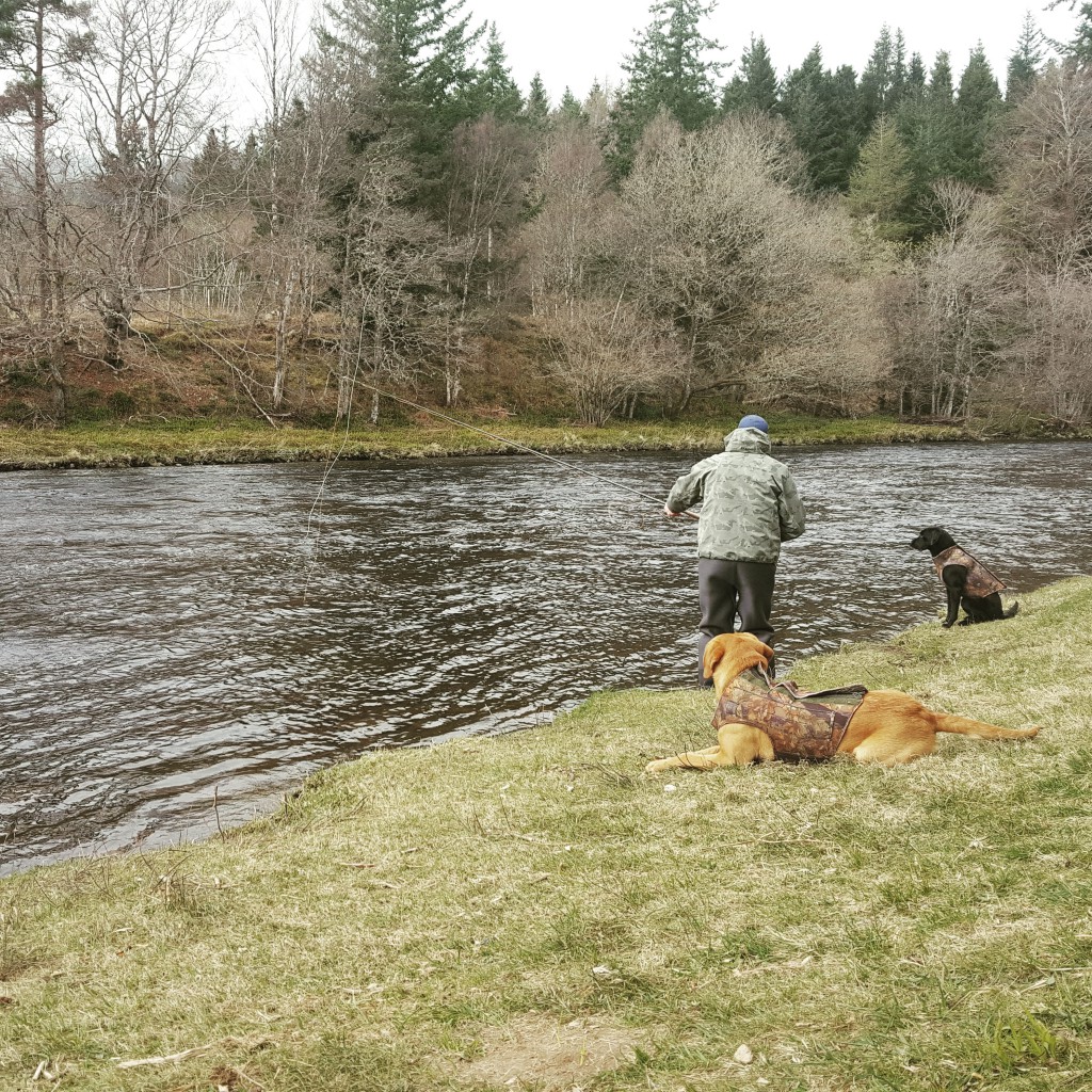 River Oich – Fishprep