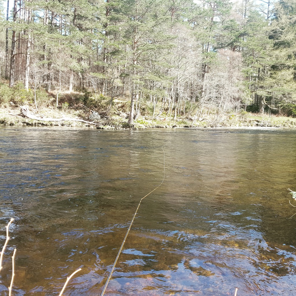 River Oich – Fishprep