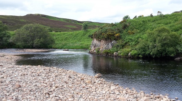 River Halladale – Fishprep