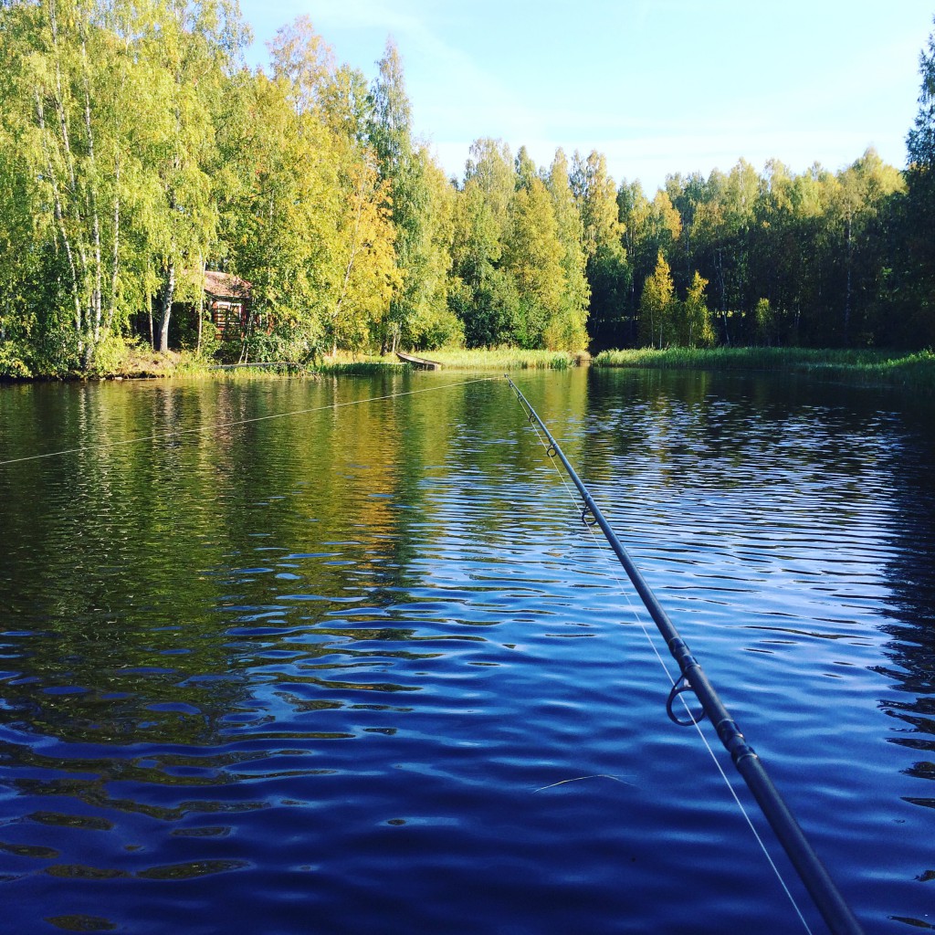 Dalälven Gustafs – Långhags kraftstation – Fishprep