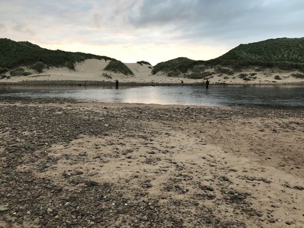 River Halladale – Fishprep