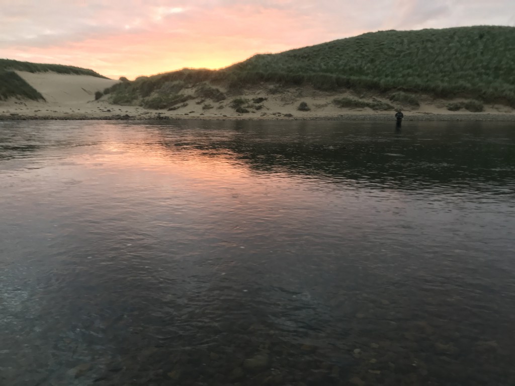 River Halladale – Fishprep