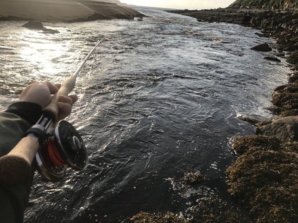 Tidal pools – river halladale – Fishprep